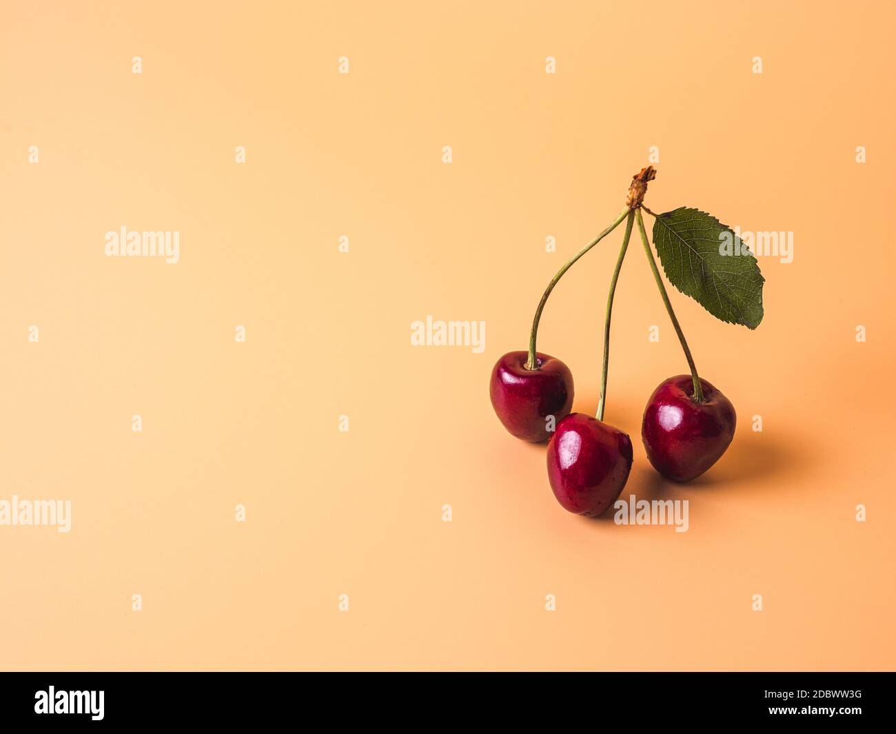 Cherry on yellow creamy background. Fresh ripe sweet cherry bunch with ...