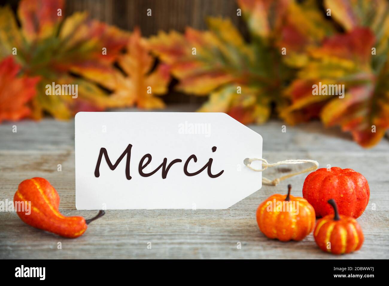White Label With French Text Merci Means Thank You. Wooden Background ...