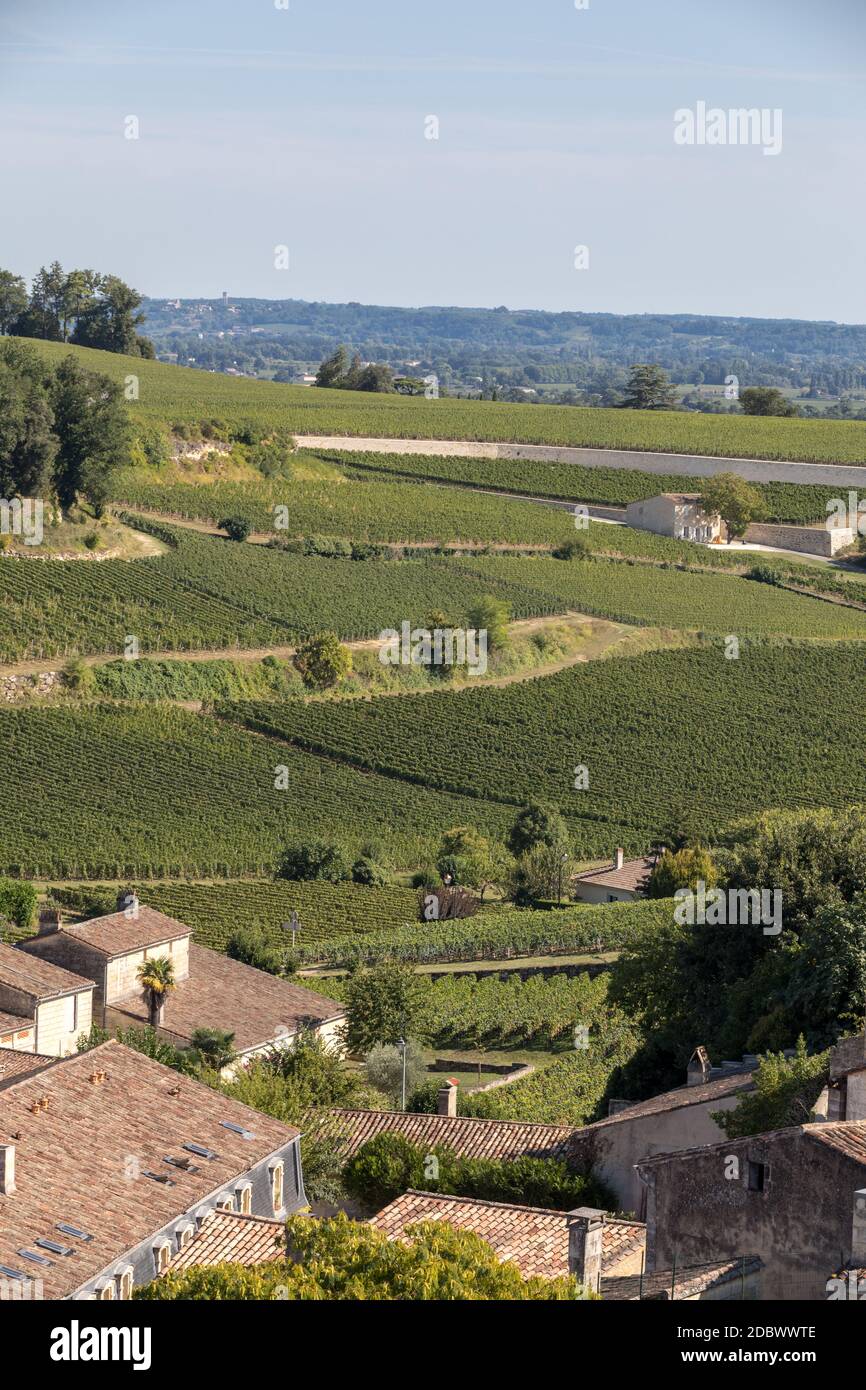 Famous French Vineyards at Saint Emilion town near Bordeaux, France. St ...
