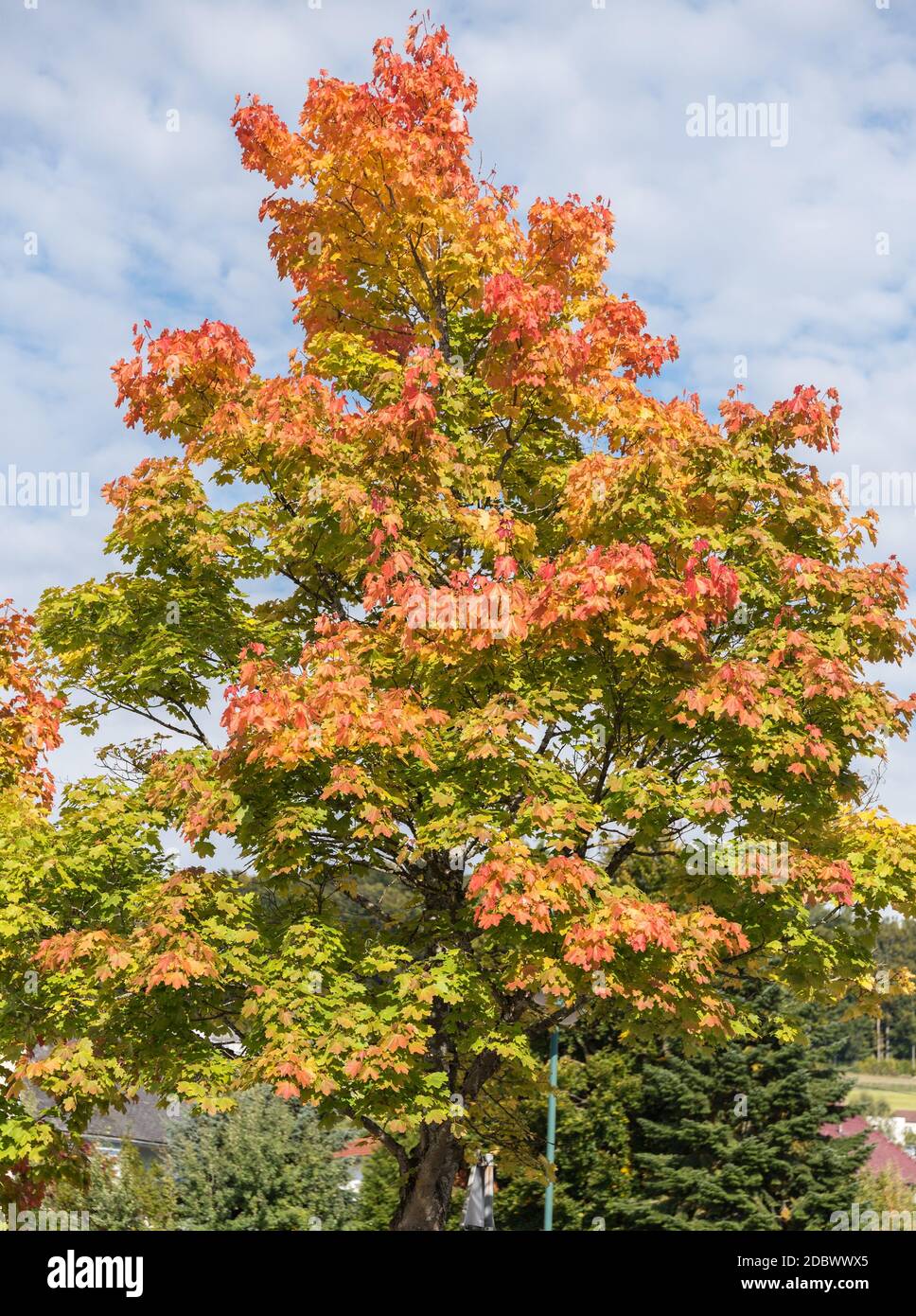 Glorious natural spectacle hi-res stock photography and images - Alamy