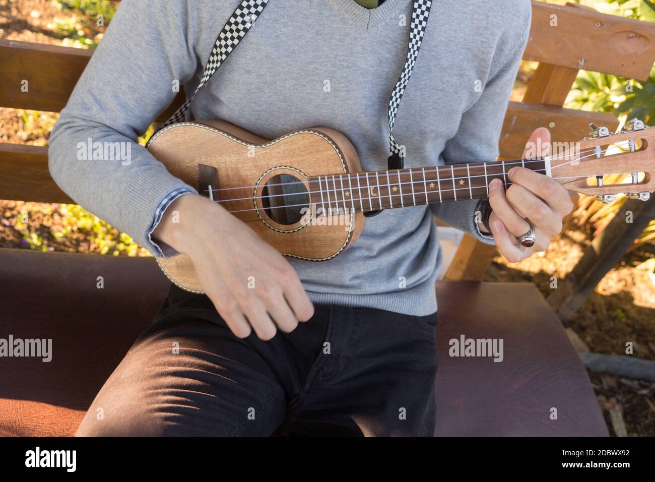 Young man sitting on bench in the park and playing ukulele Stock Photo ...