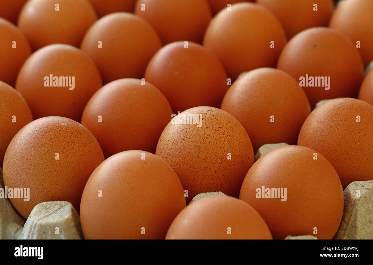 Close up many fresh brown chicken eggs in tray carton at retail display ...
