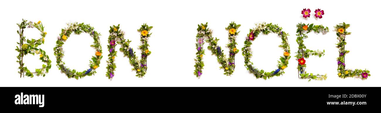 Flower, Branches And Blossom Letter Building French Word Bon Noel Means ...