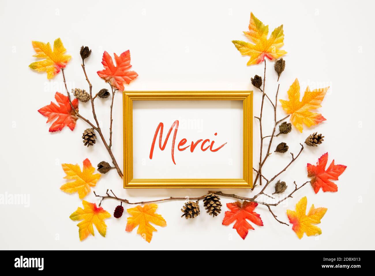 Golden Frame With French Text Merci Means Thank You. Beautiful ...