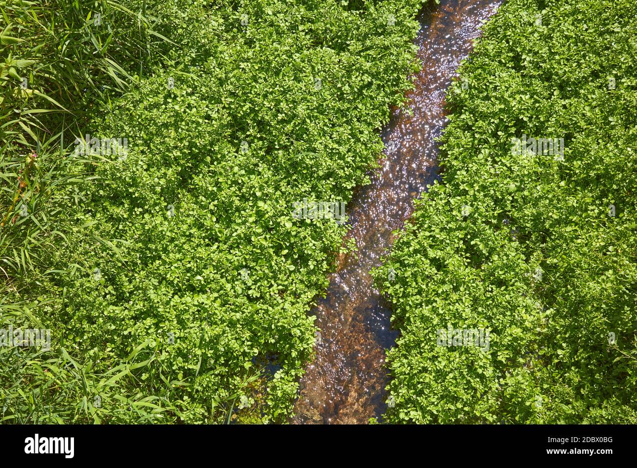 Diagonal flow hi-res stock photography and images - Alamy