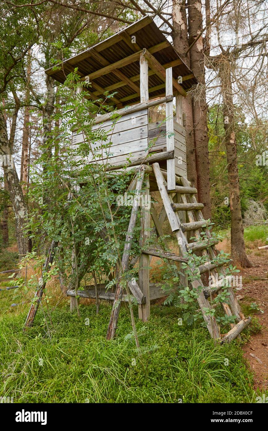 Hight hunter hi-res stock photography and images - Alamy