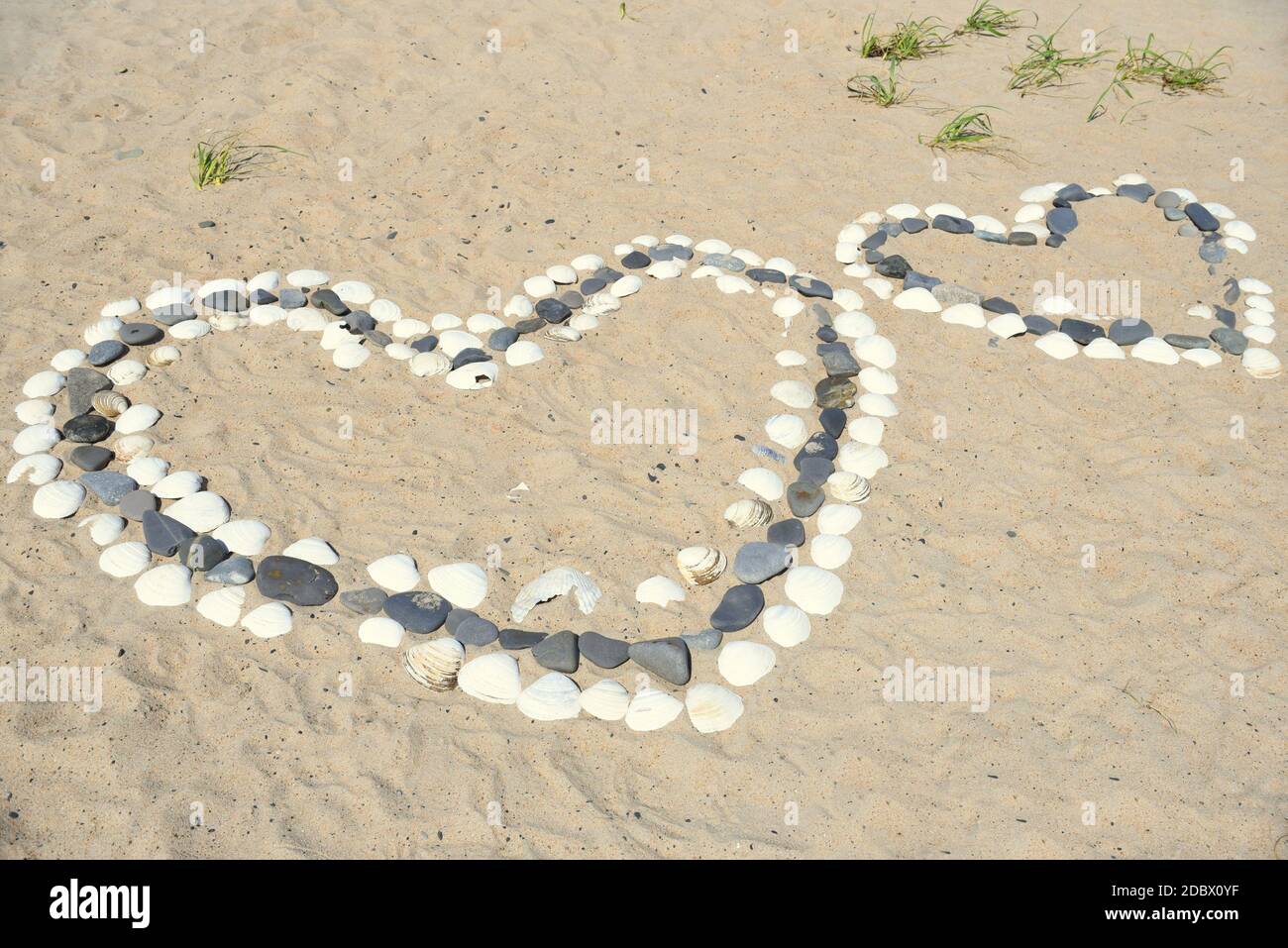 Heart Seashells In Sand