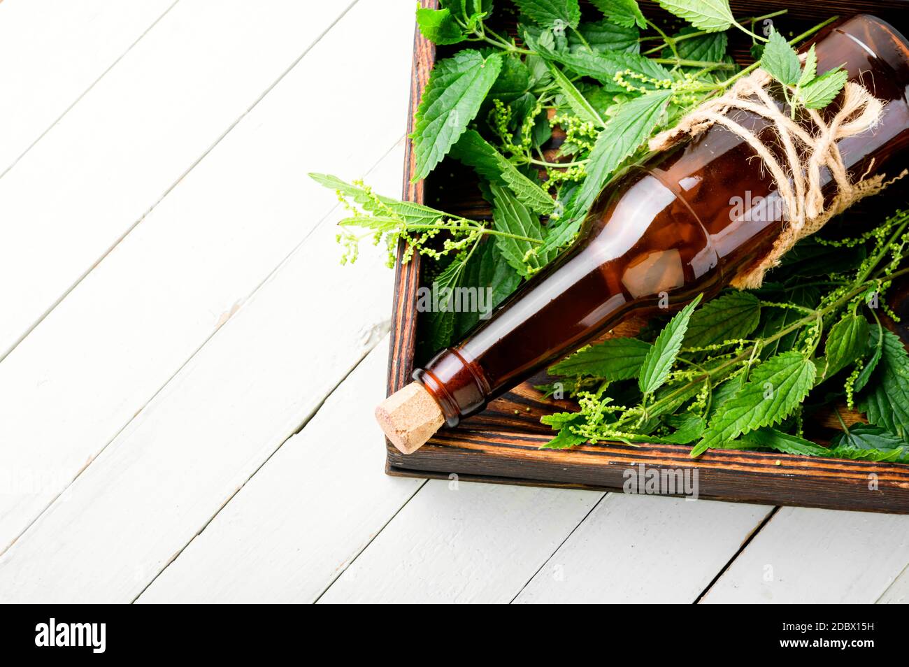 Nettle extract in bottle hi-res stock photography and images - Alamy