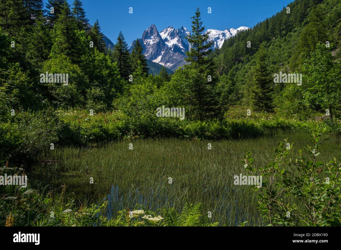 col des montets,chamonix,haute savoie,france Stock Photo - Alamy