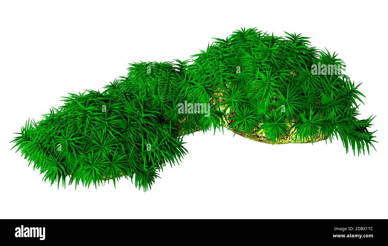 3D rendering of a green hummock moss isolated on white background Stock ...