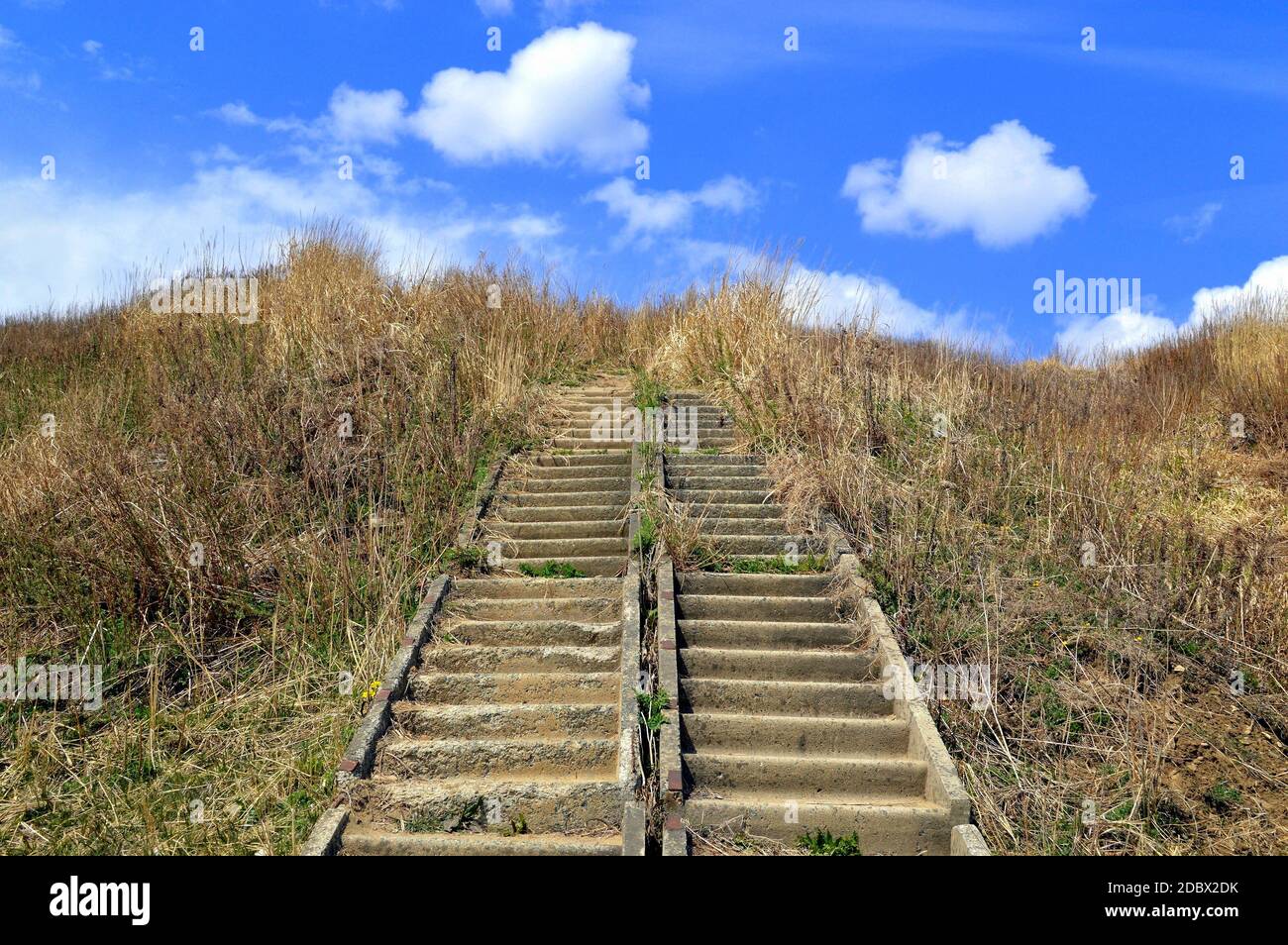 Abandoned stairs overgrown, leading to the blue sky with clouds ...