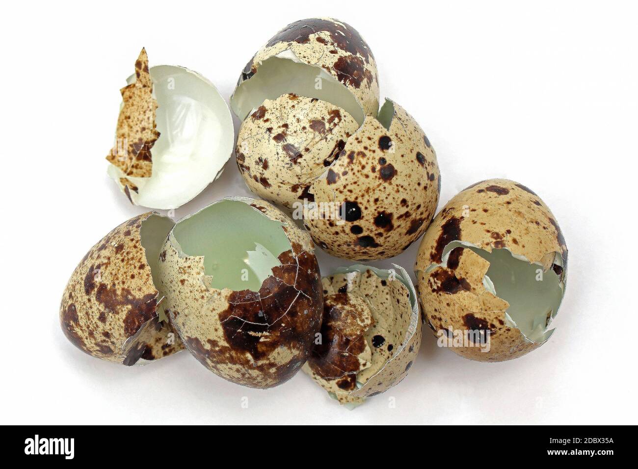 Quail eggs broken shells pile on white background Stock Photo - Alamy