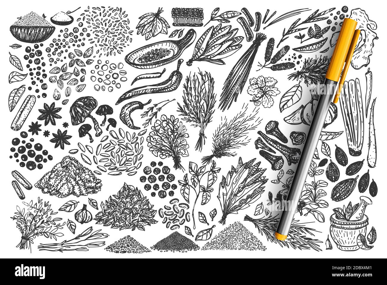 Spices doodle set. Collection of hand drawn different condiments herbs ...