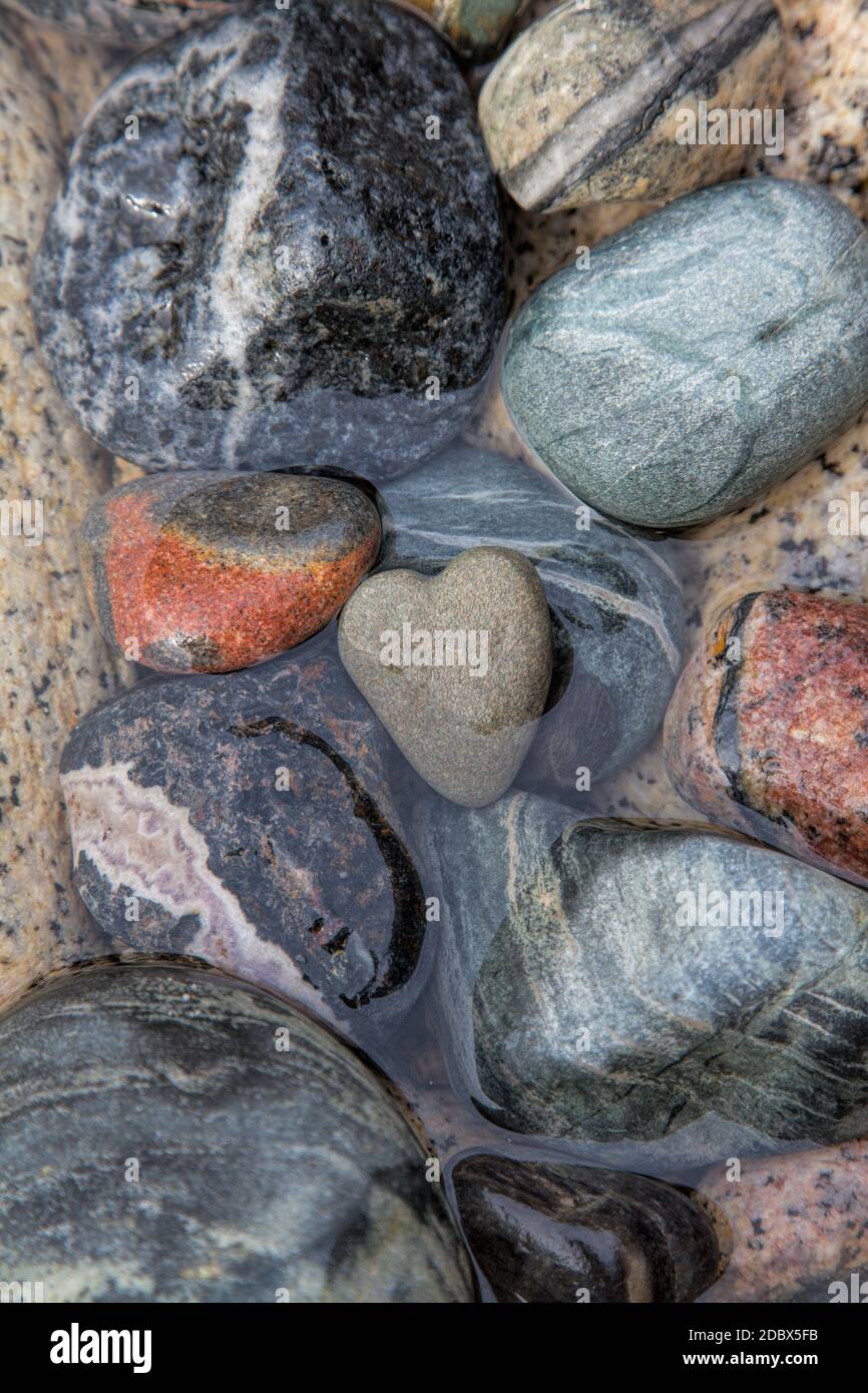 stone heart and pebble in a small pool of water on a rock Stock Photo ...