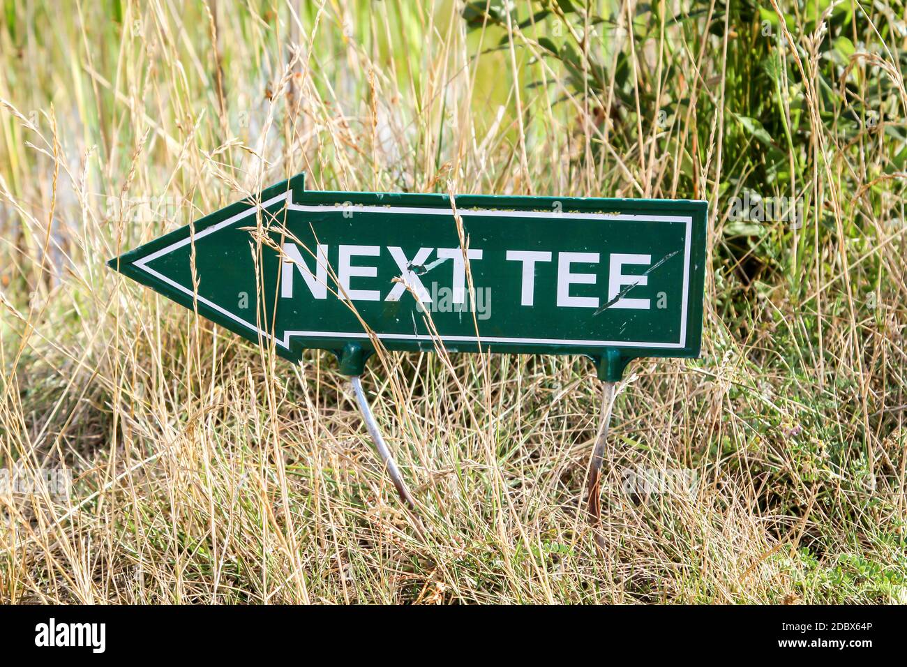 Scenes from the sport of golf. Golf course impressions in good weather ...