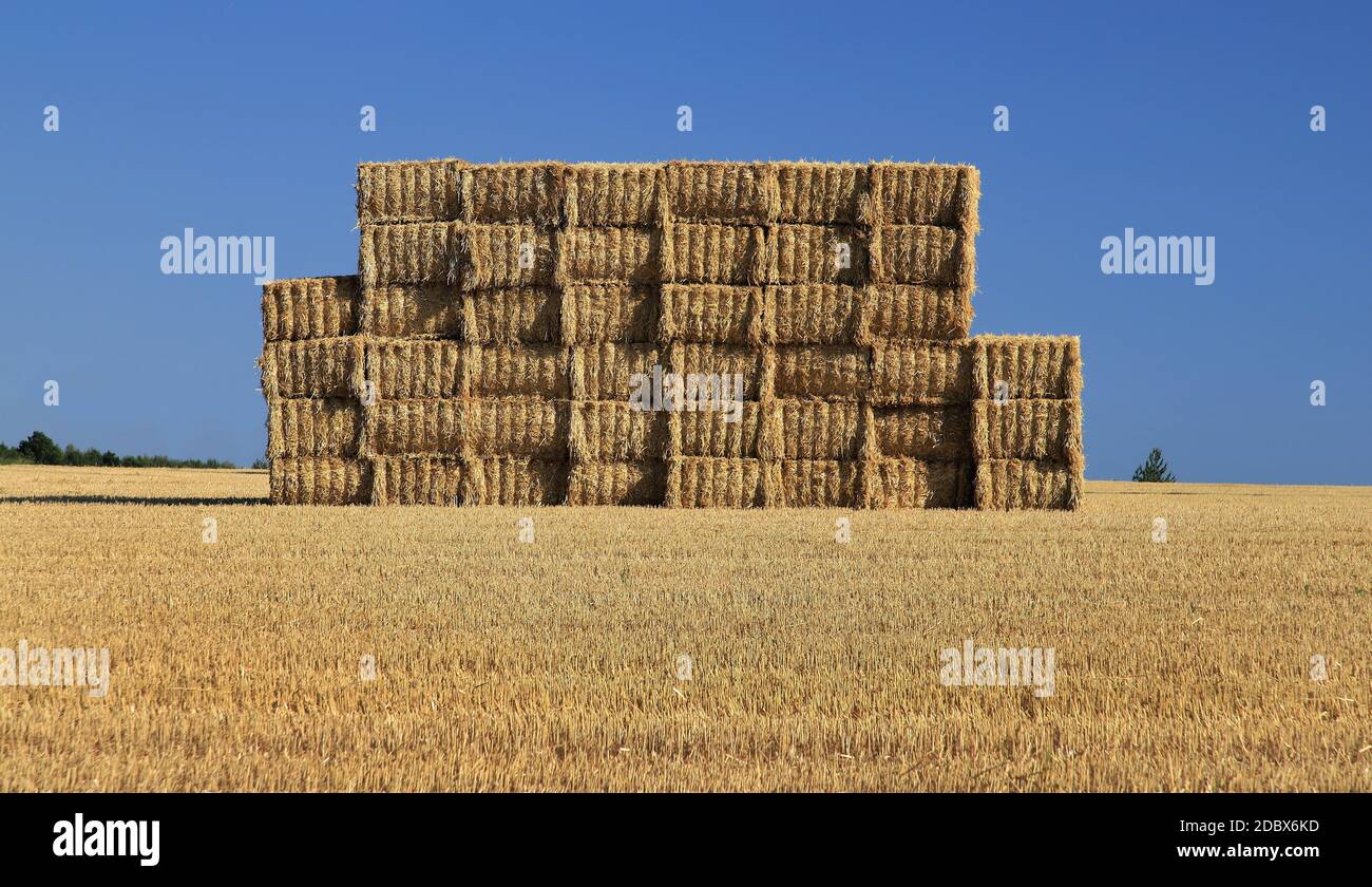 Haylage bales in the Soester BÃ¶rde, Germany Stock Photo - Alamy