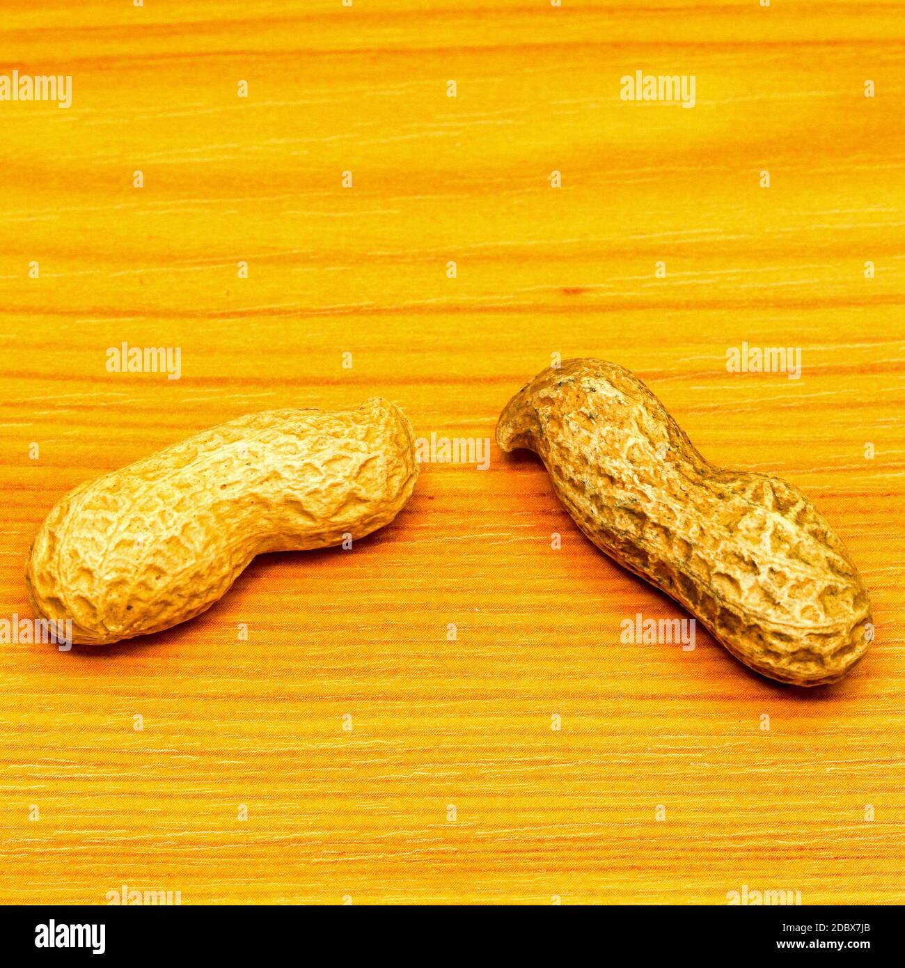 Two natural organic raw peanuts in shell Stock Photo - Alamy