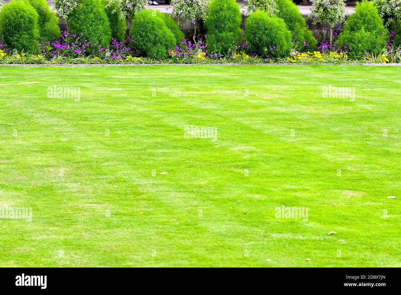 Beautiful park with bushes and green grass field Stock Photo - Alamy