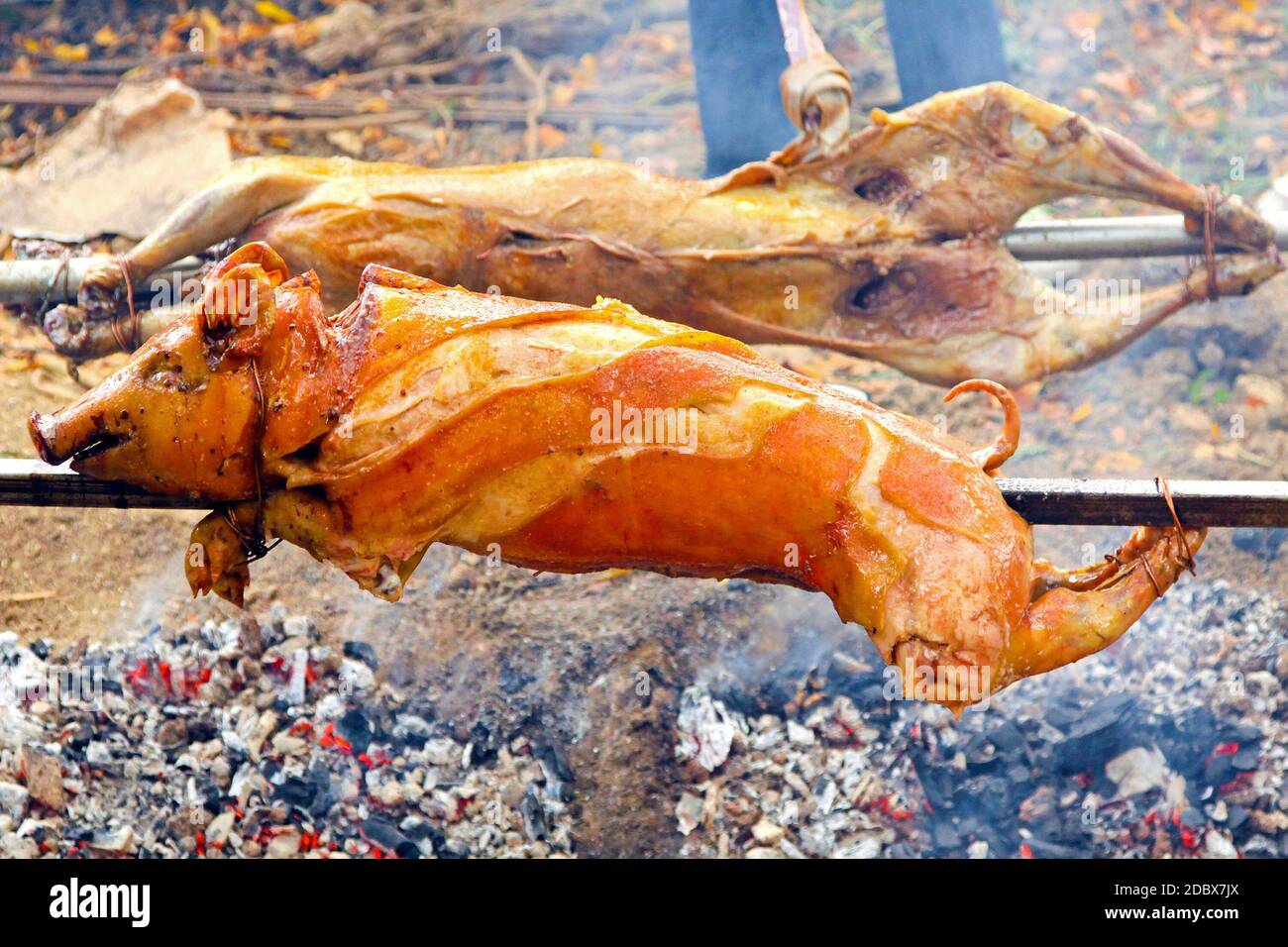 Roasted piglet and lamb at open fire barbeque Stock Photo - Alamy