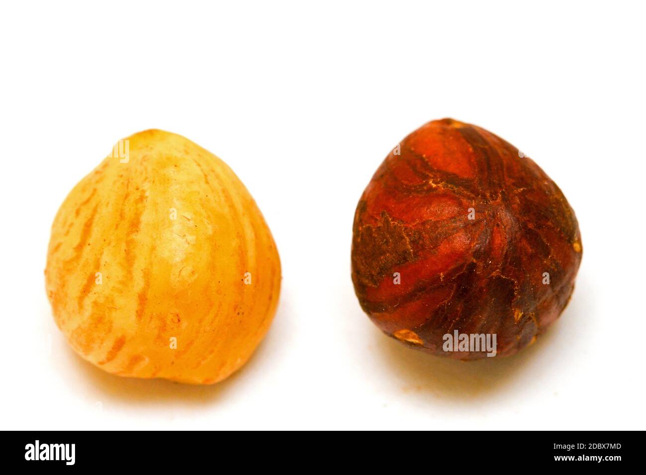 Two hazelnuts hi-res stock photography and images - Alamy
