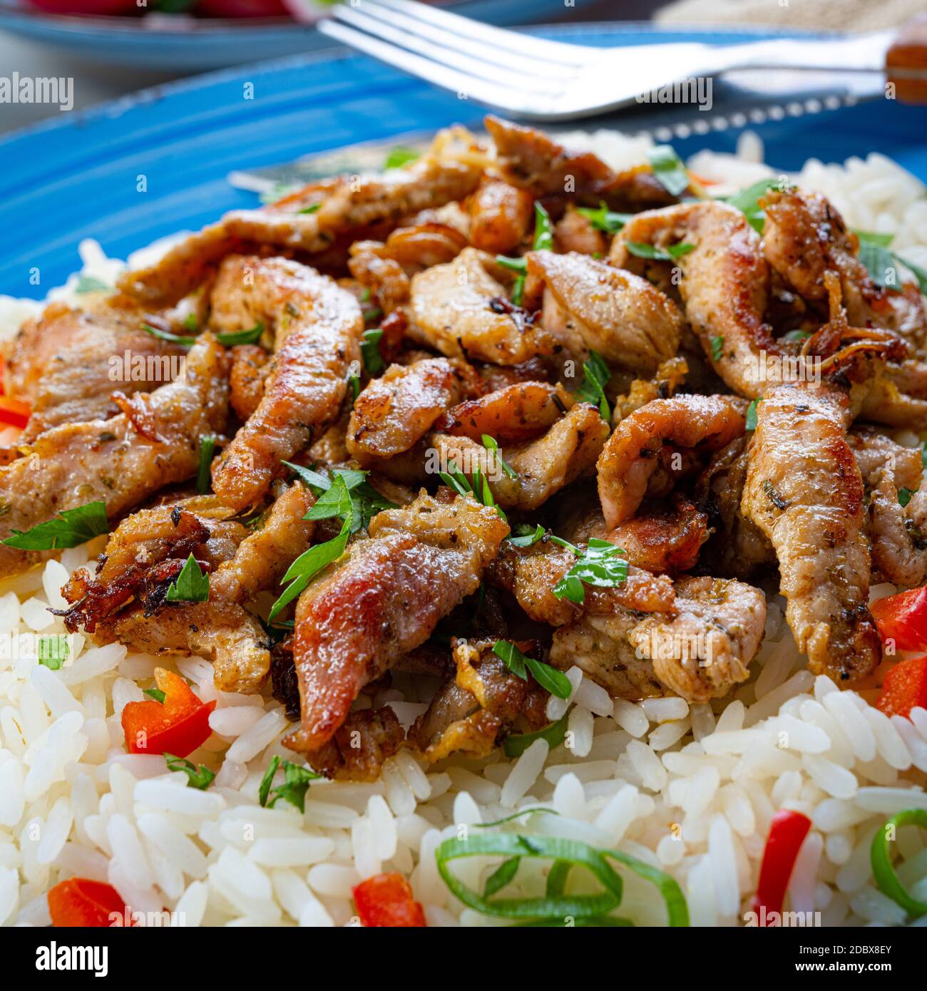gyros with rice and green salad and zaziki Stock Photo - Alamy