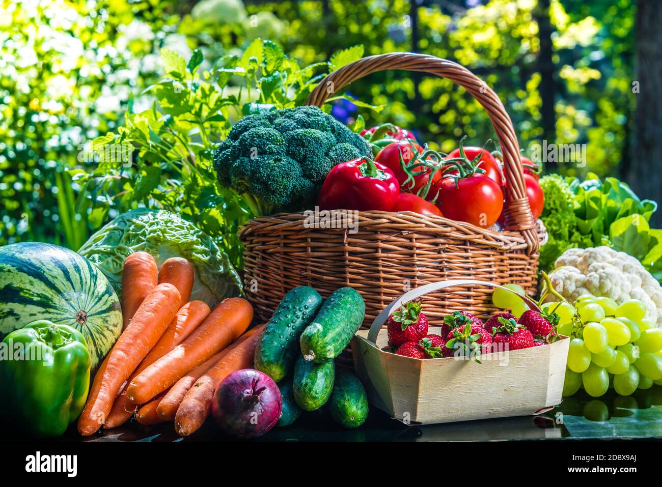 Variety of fresh organic vegetables and fruits in the garden. Balanced ...