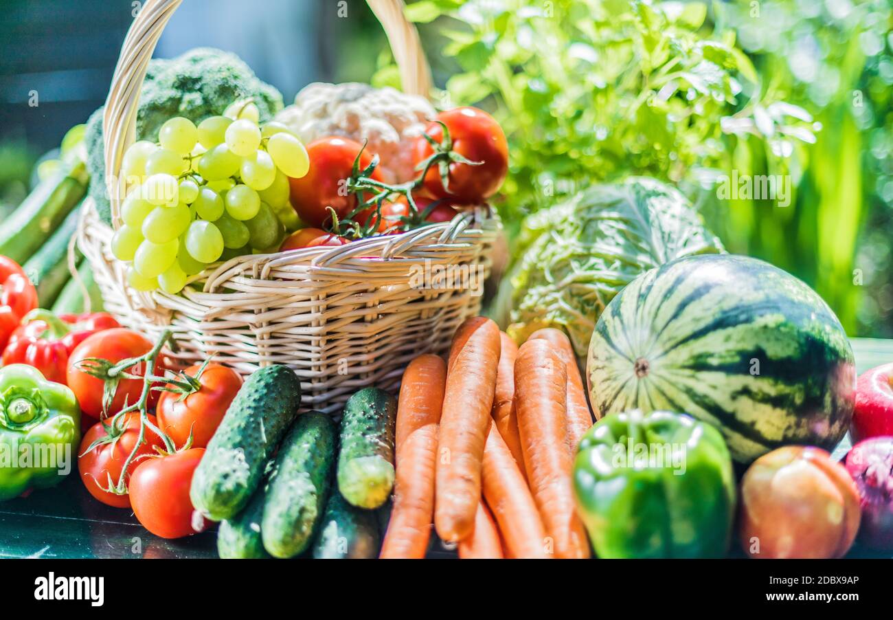 Variety of fresh organic vegetables and fruits in the garden. Balanced ...