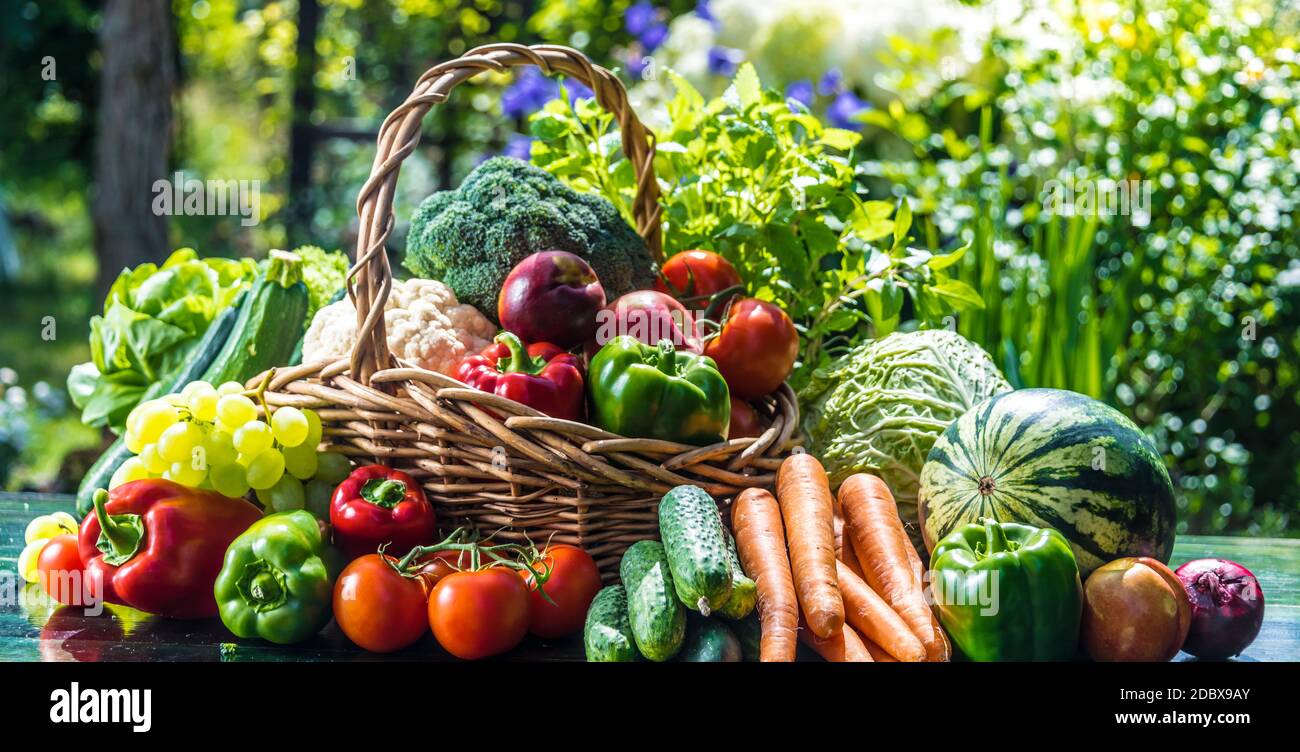 Variety of fresh organic vegetables and fruits in the garden. Balanced ...