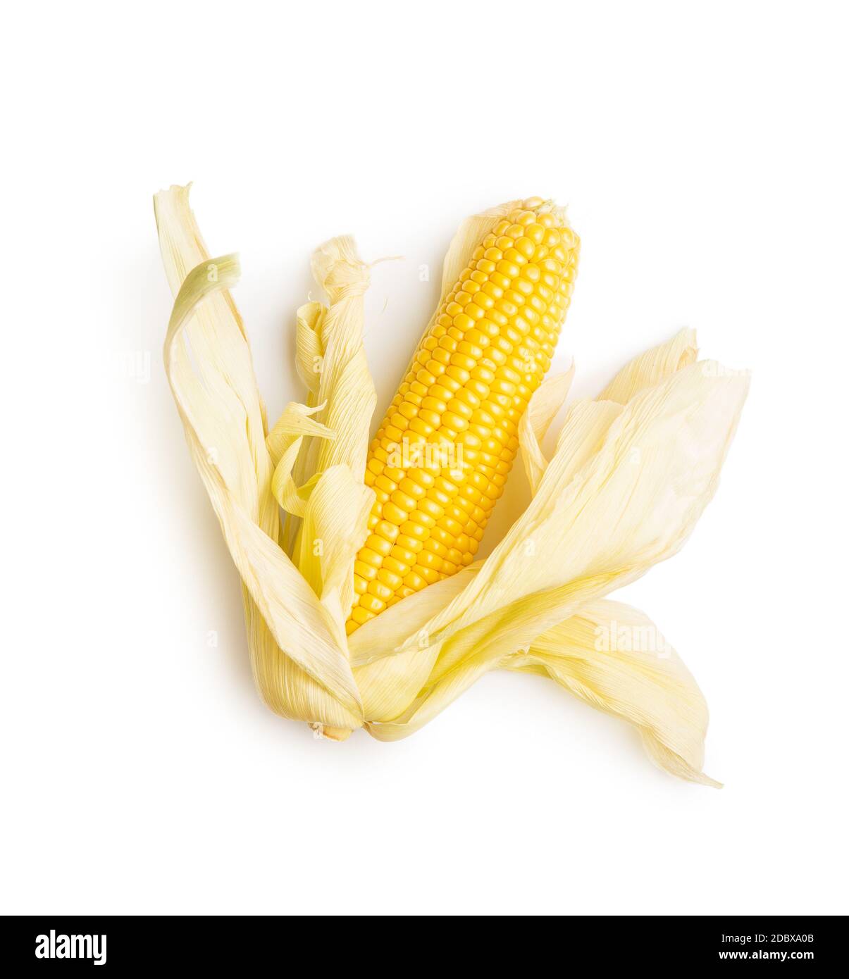 Uncooked corn cob isolated on white background Stock Photo - Alamy