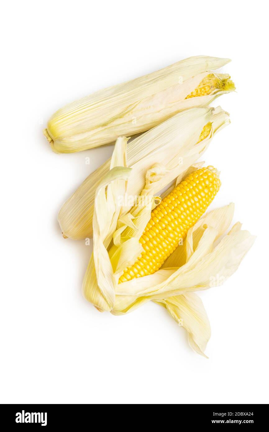 Uncooked corn cob isolated on white background Stock Photo - Alamy
