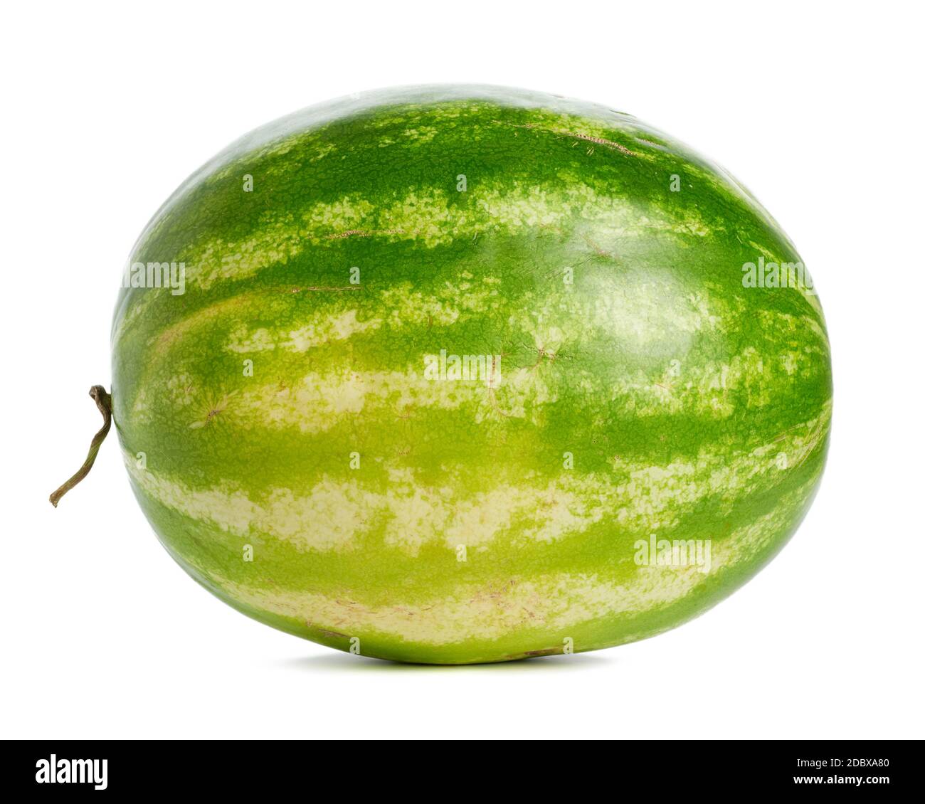 green striped whole round watermelon isolated on white background ...