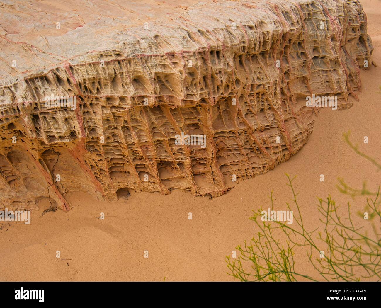 A heavily eroded boulder with red lines in the fine sand Stock Photo ...