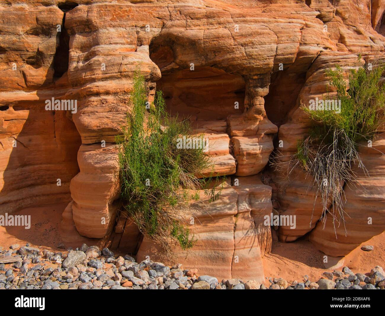 Pebbles rocks crack geology hi-res stock photography and images - Alamy