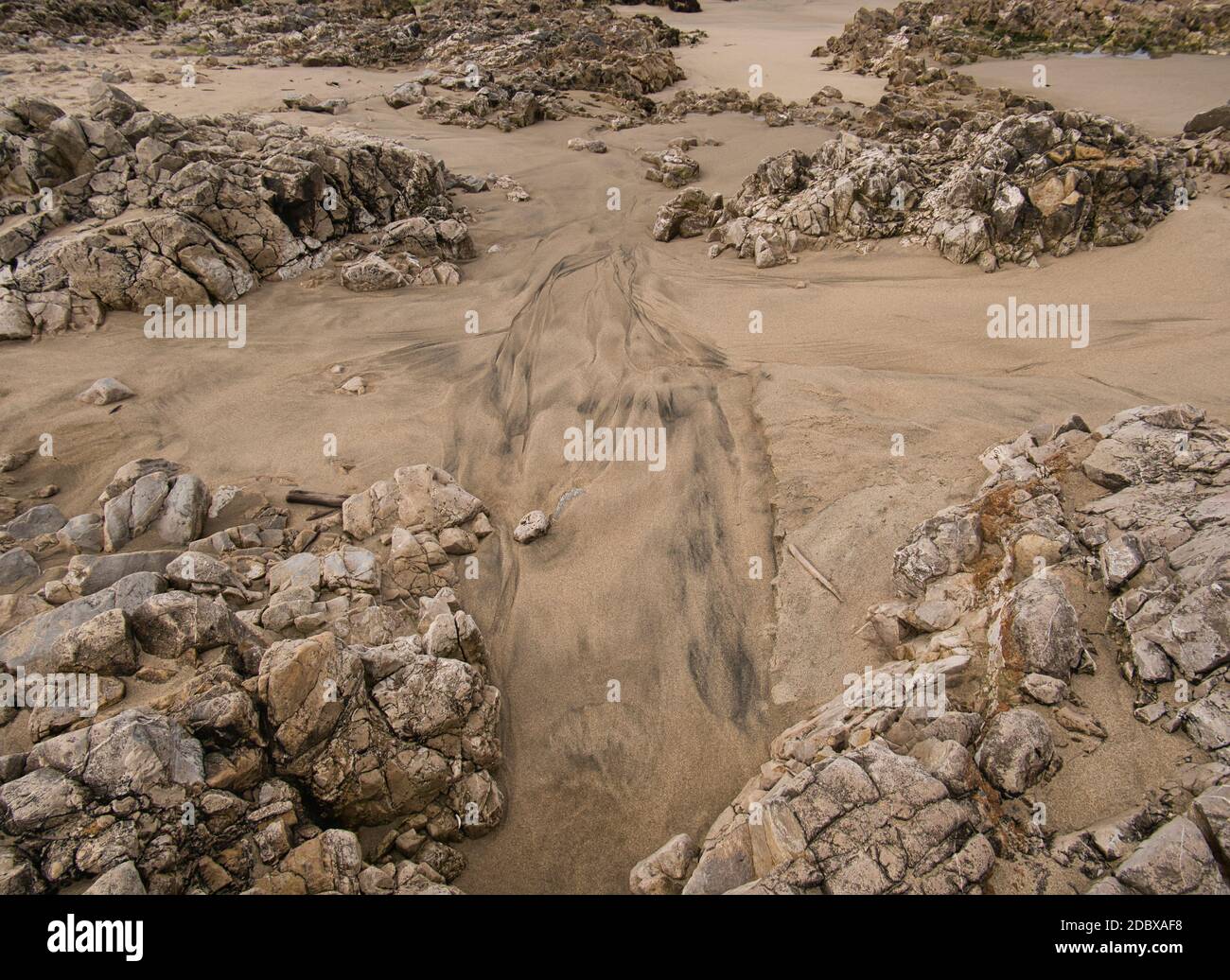The seabed on the coast at low tide with sand and stones Stock Photo ...