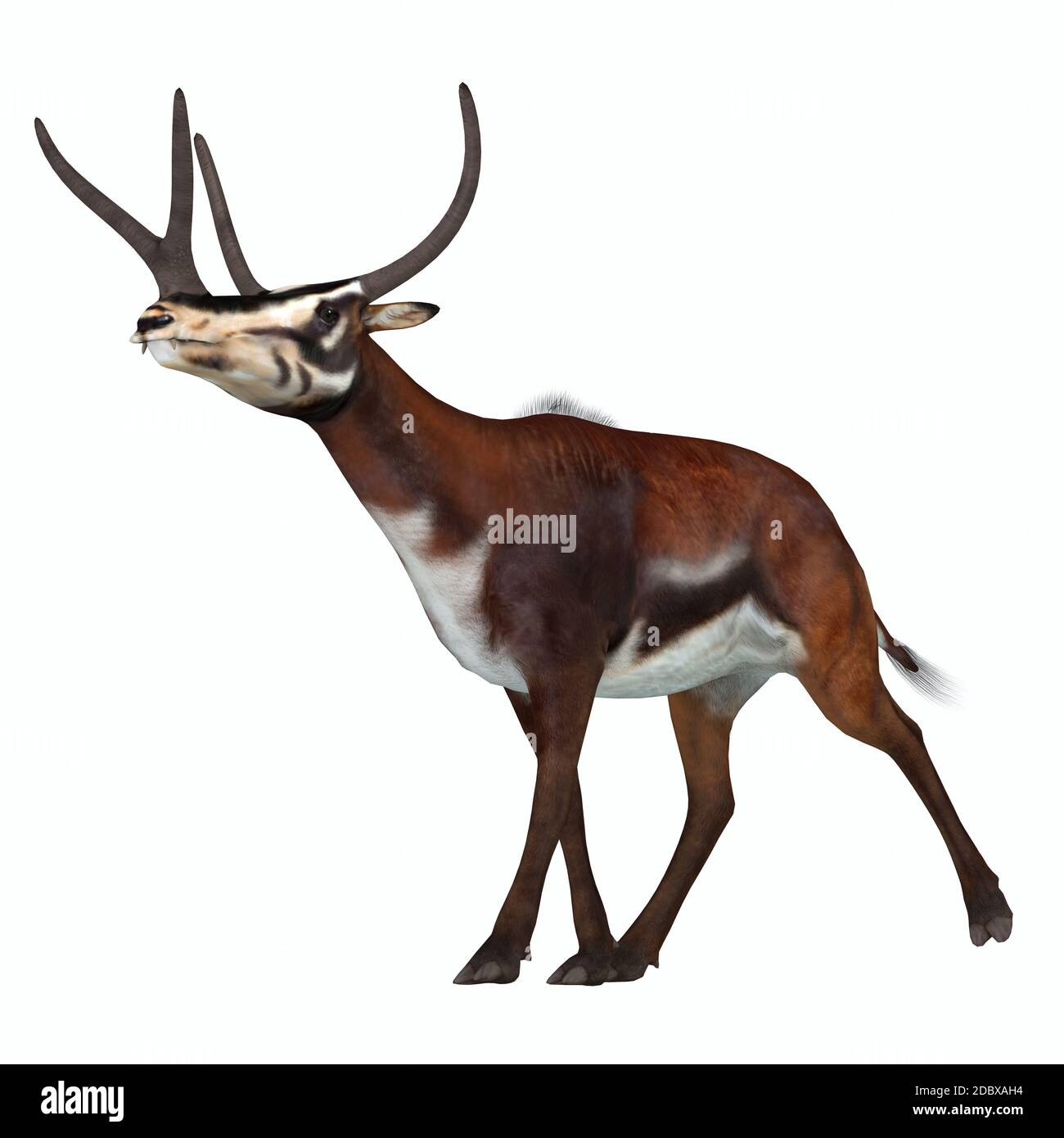 Prehistoric Antelope