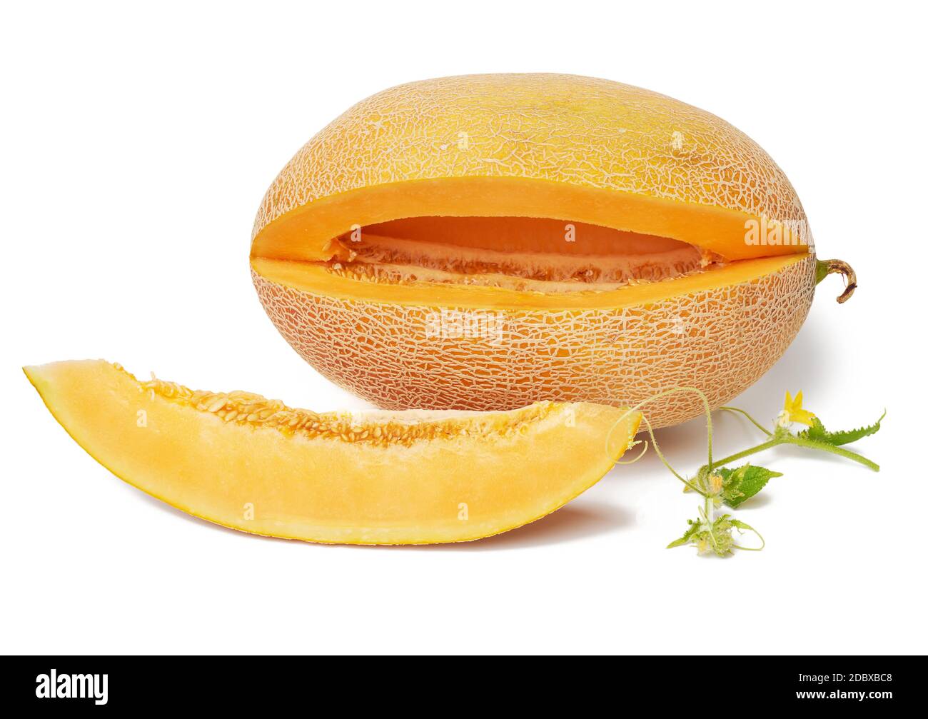 ripe juicy orange melon and cut piece with seeds, green shoot with ...