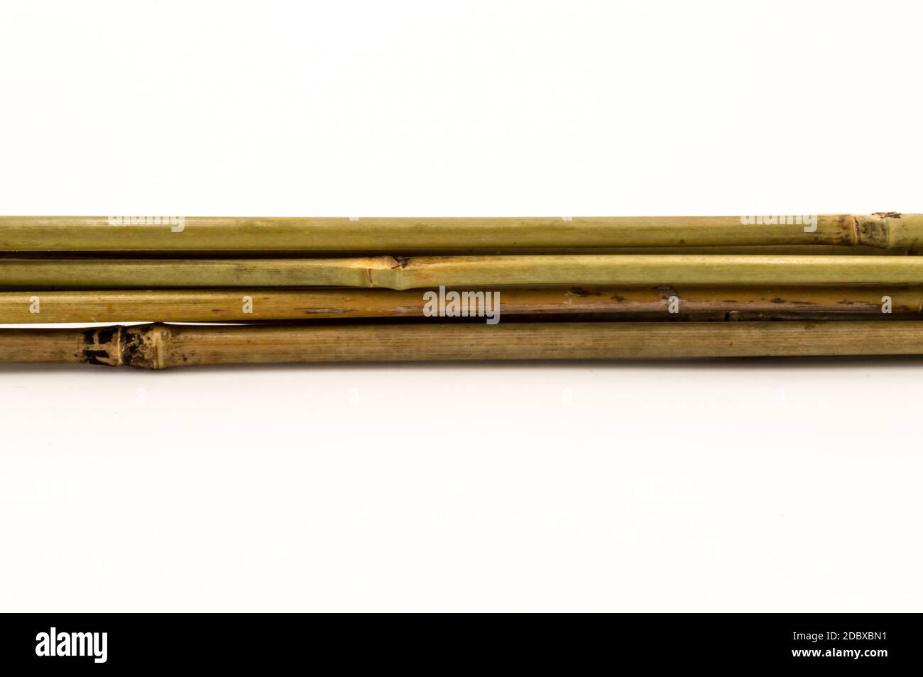 The bundle of dry bamboo on a white background Stock Photo - Alamy