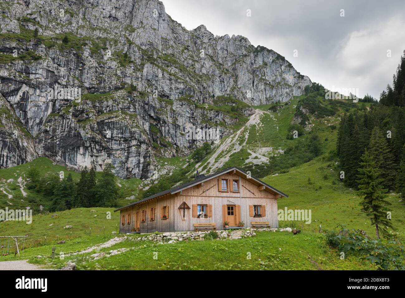 Mumble tree hi-res stock photography and images - Alamy