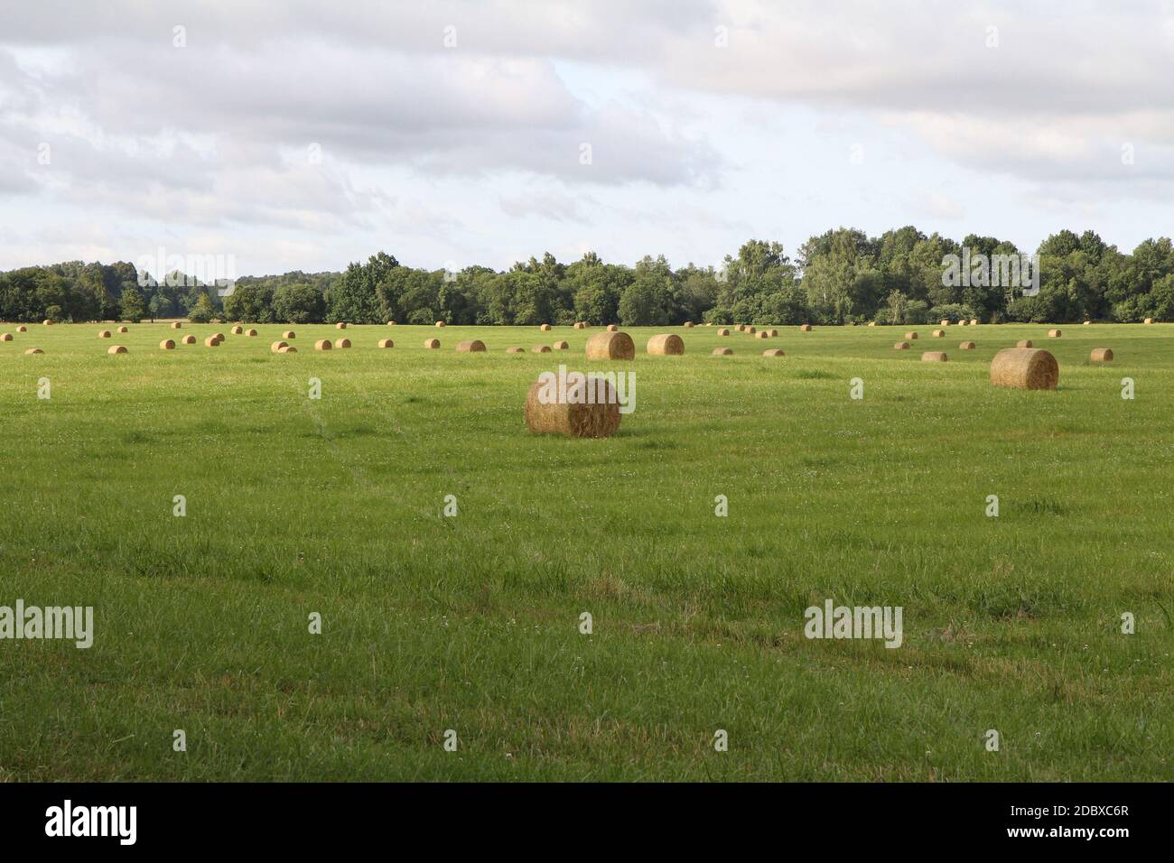 Field, farm, haymaking, countryside during the day in summer Stock ...