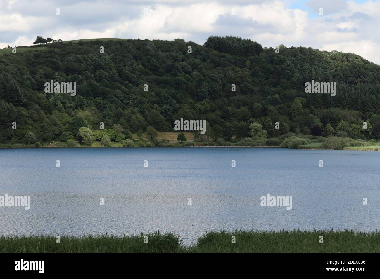 Blue lake between trees hi-res stock photography and images - Alamy