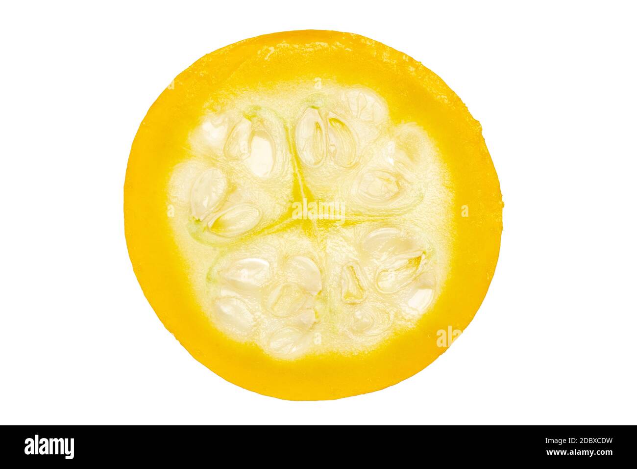 Slice zucchini isolated. Cross section of a fresh ripe round yellow ...