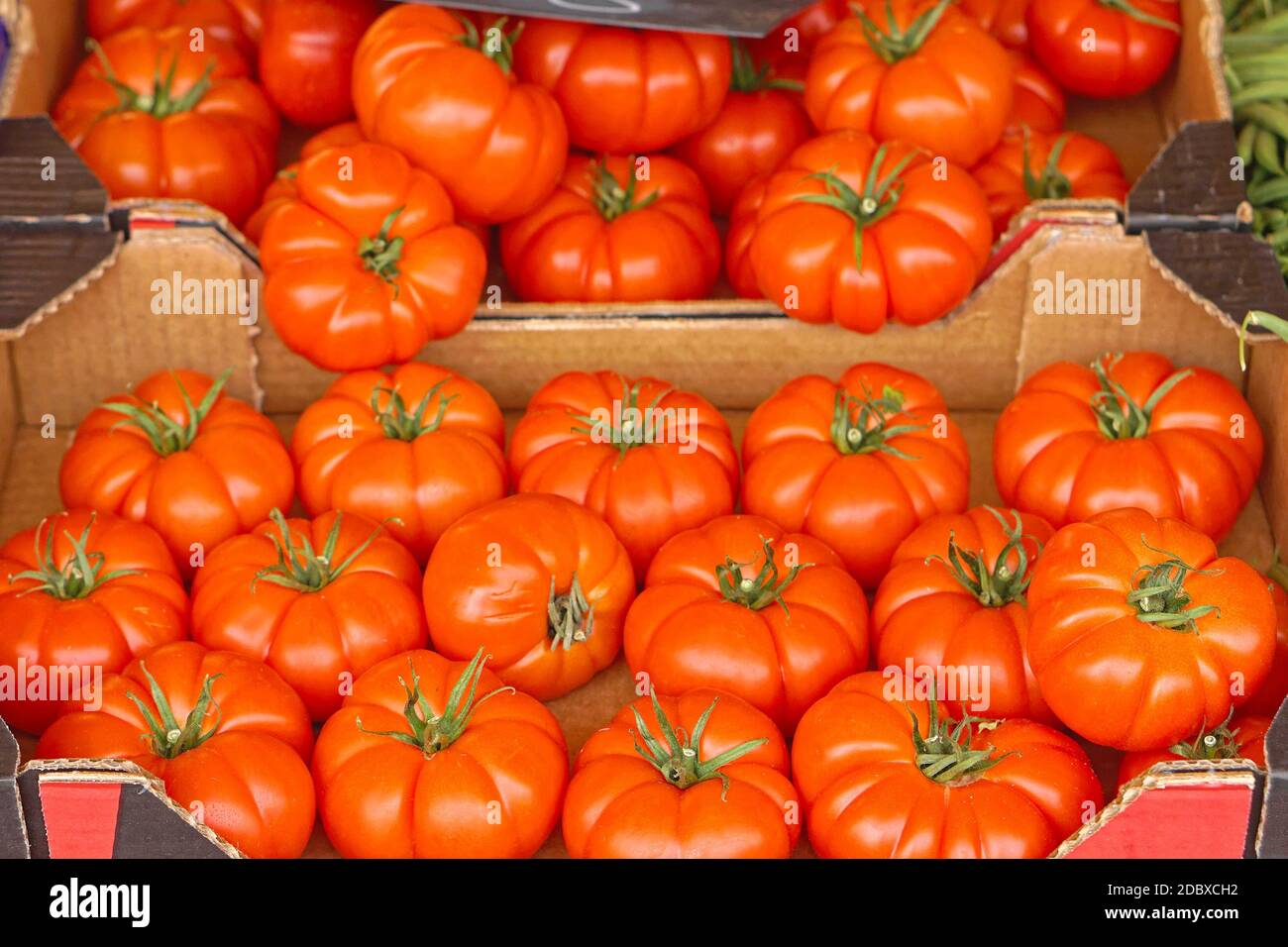 Big tomatoes in crates at market Stock Photo - Alamy