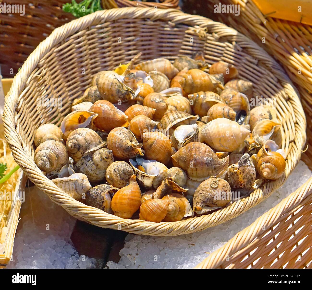 Edible snails hi-res stock photography and images - Alamy