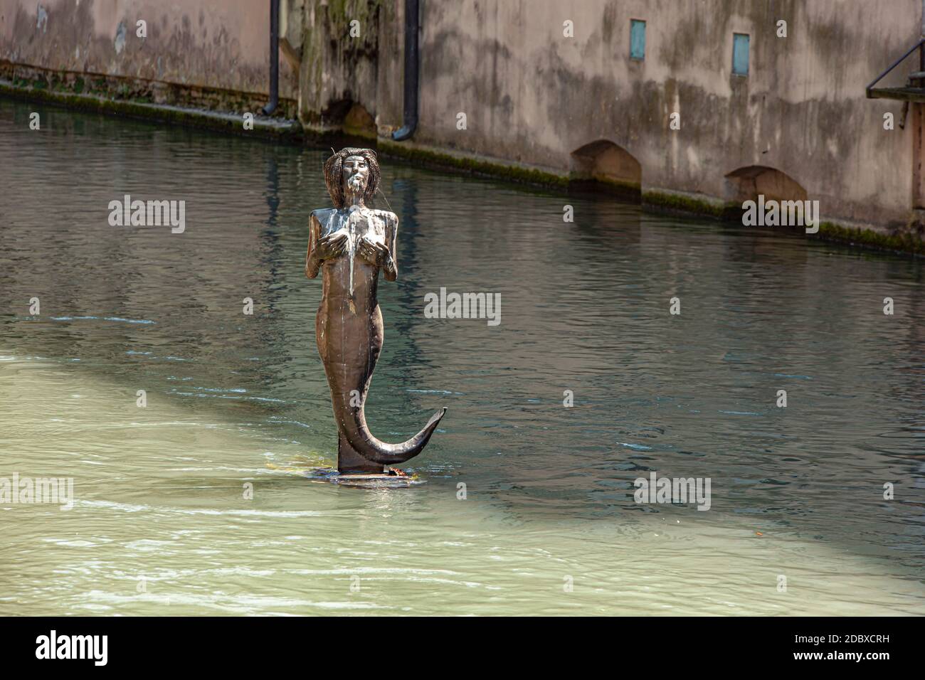 Mermaid statue in Treviso in Italy located in Pescheria Island Stock ...
