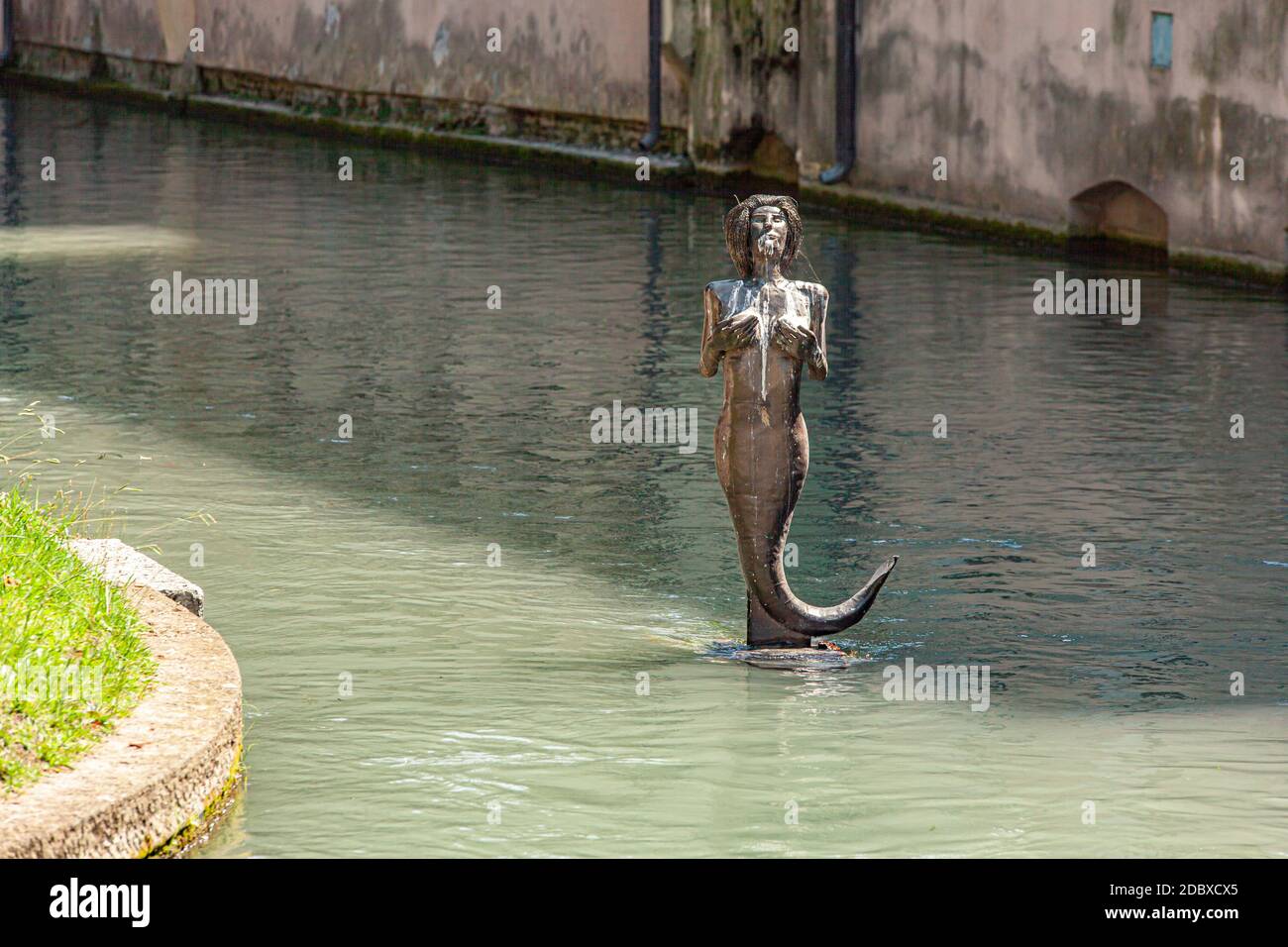 Mermaid statue in Treviso in Italy located in Pescheria Island Stock ...