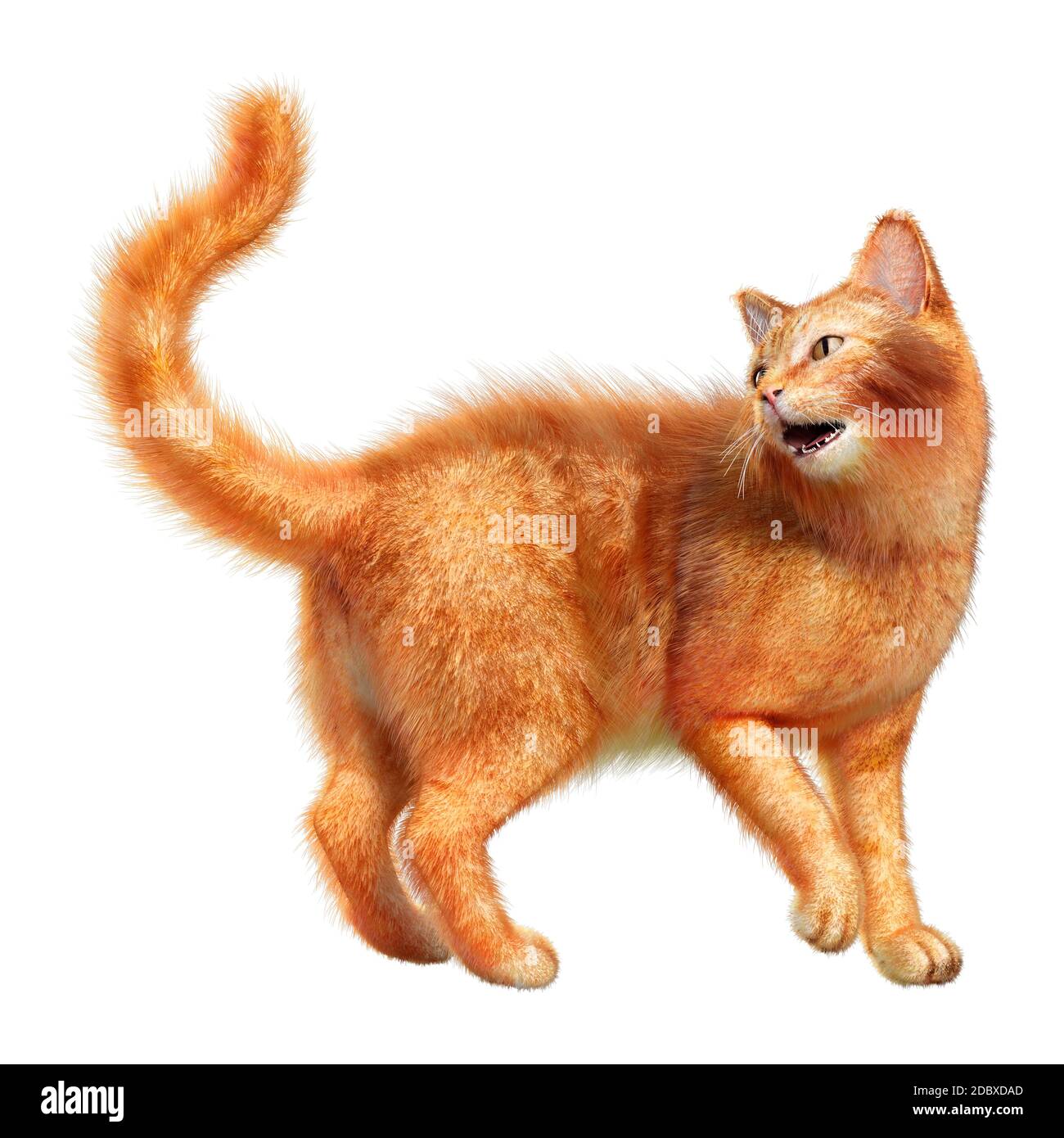 3D rendering of a red cat isolated on white background Stock Photo - Alamy