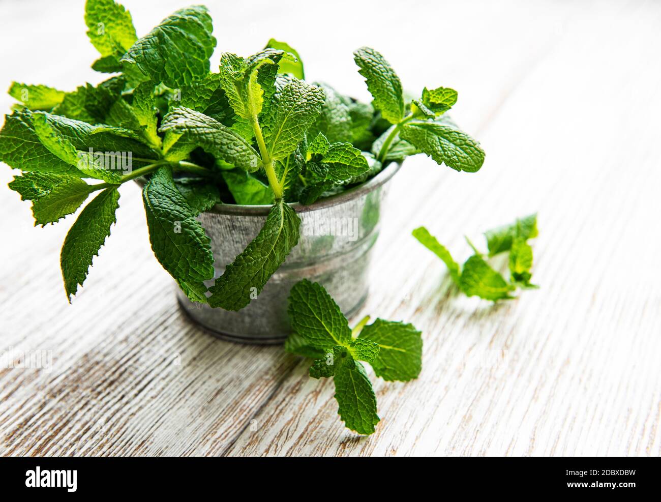 Mint plant bucket hi-res stock photography and images - Alamy