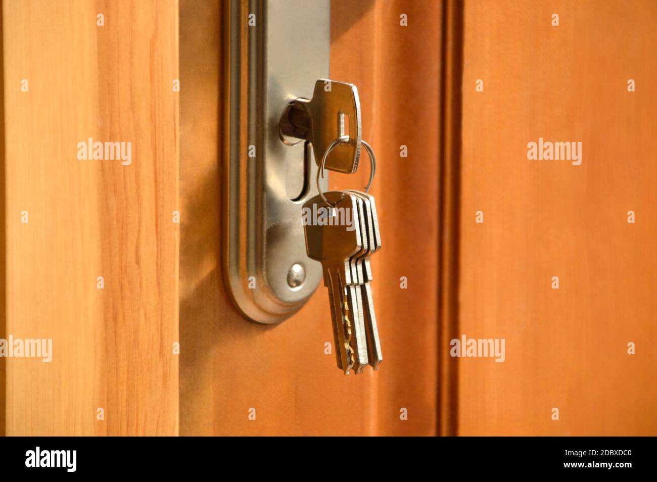 Metal key from the bunch of keys inserted into the lock of the wooden ...