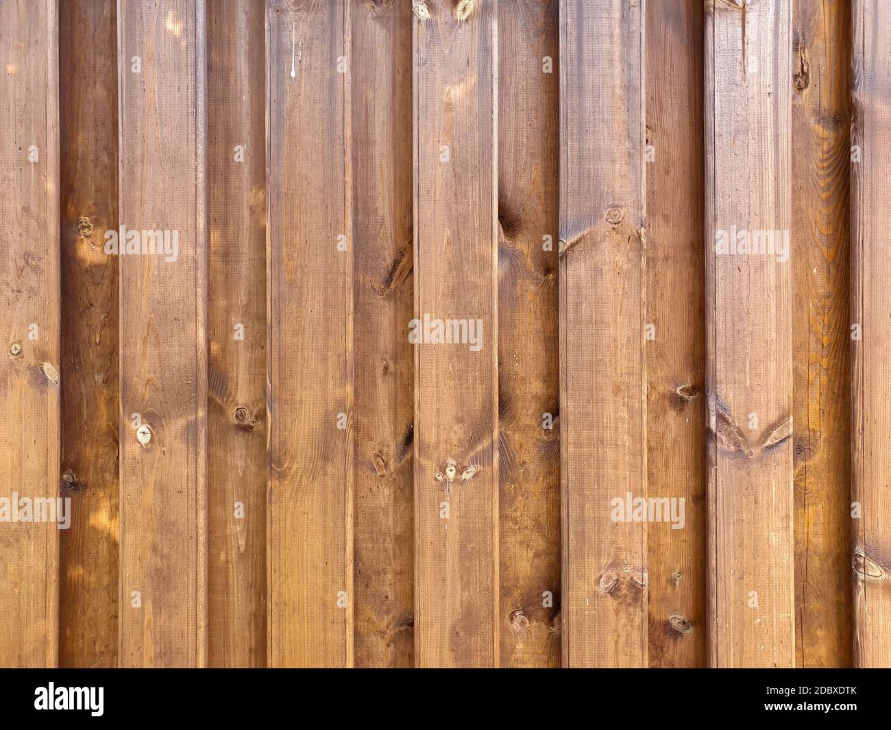 Board Wooden texture background. Top view of Light brown surface, close ...