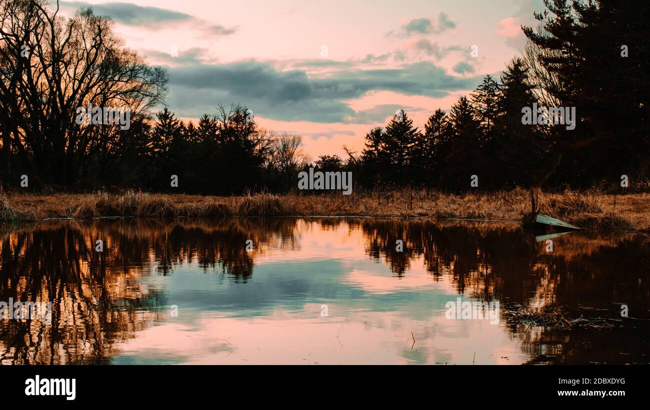 A Large Pond Reflecting the Surrounding Forest and Sunset Sky Stock ...